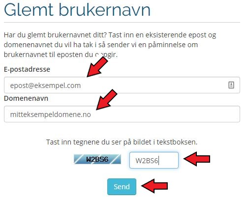 Glemt kundeweb brukernavn | Hjelp | Domene.no